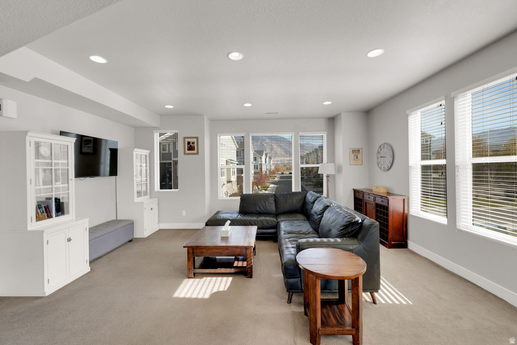 13434 S YELLOW CLIFF DR Draper, UT 84020 - MLS 2122436