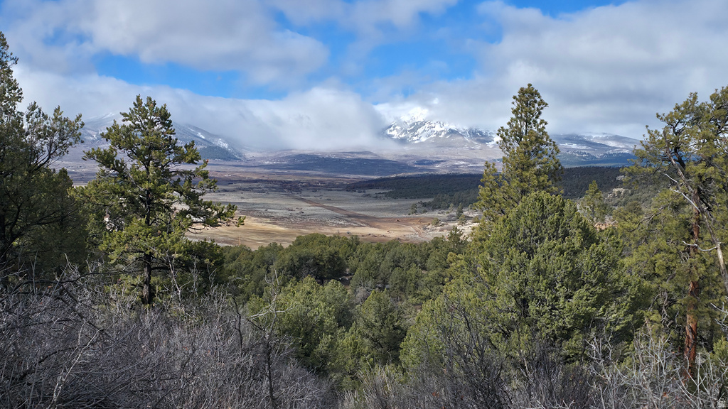 60 S WRAY MESA RD La Sal, UT 84530 - MLS 2128682