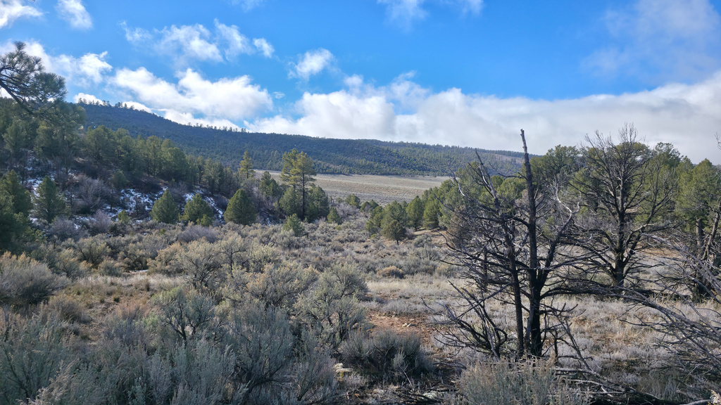 60 S WRAY MESA RD La Sal, UT 84530 - MLS 2128682