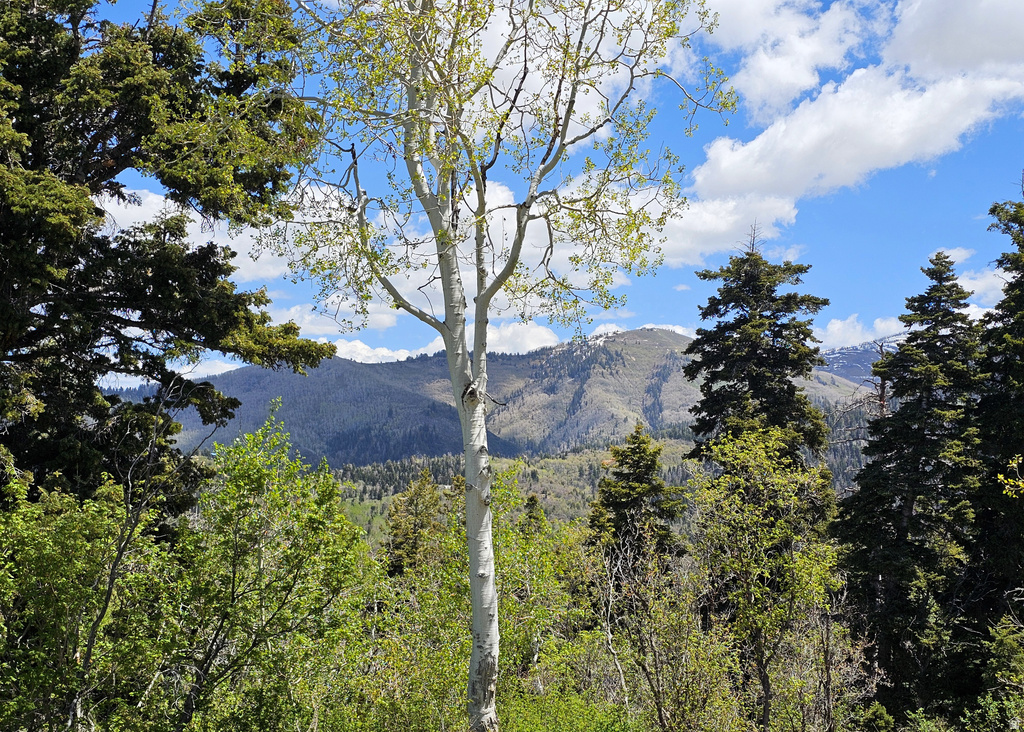 27 PINE RIDGE RD Mt Pleasant, UT 84647 - MLS 2128853