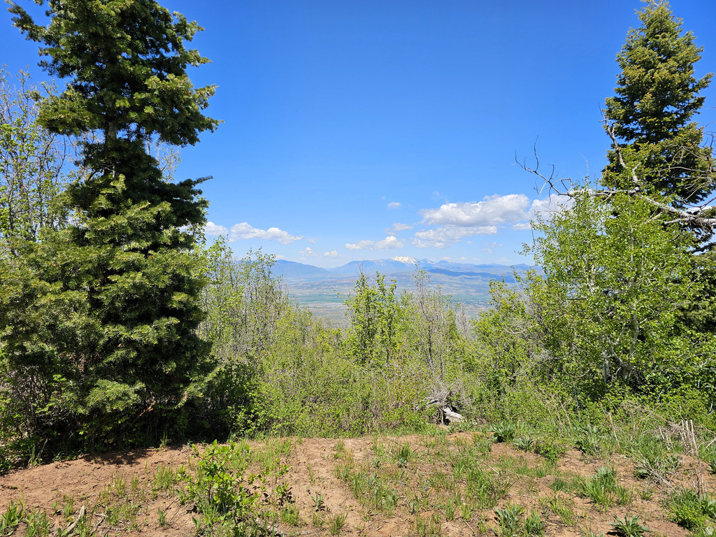 27 PINE RIDGE RD Mt Pleasant, UT 84647 - MLS 2128853