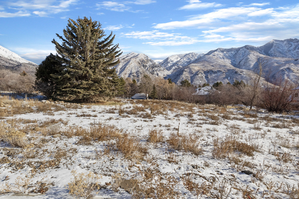 1540 N CHERRYPOINT LN Alpine, UT 84004 - MLS 2130541