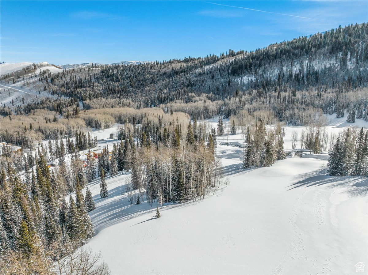 322 WHITE PINE RD Park City, UT 84060 - MLS 2058307