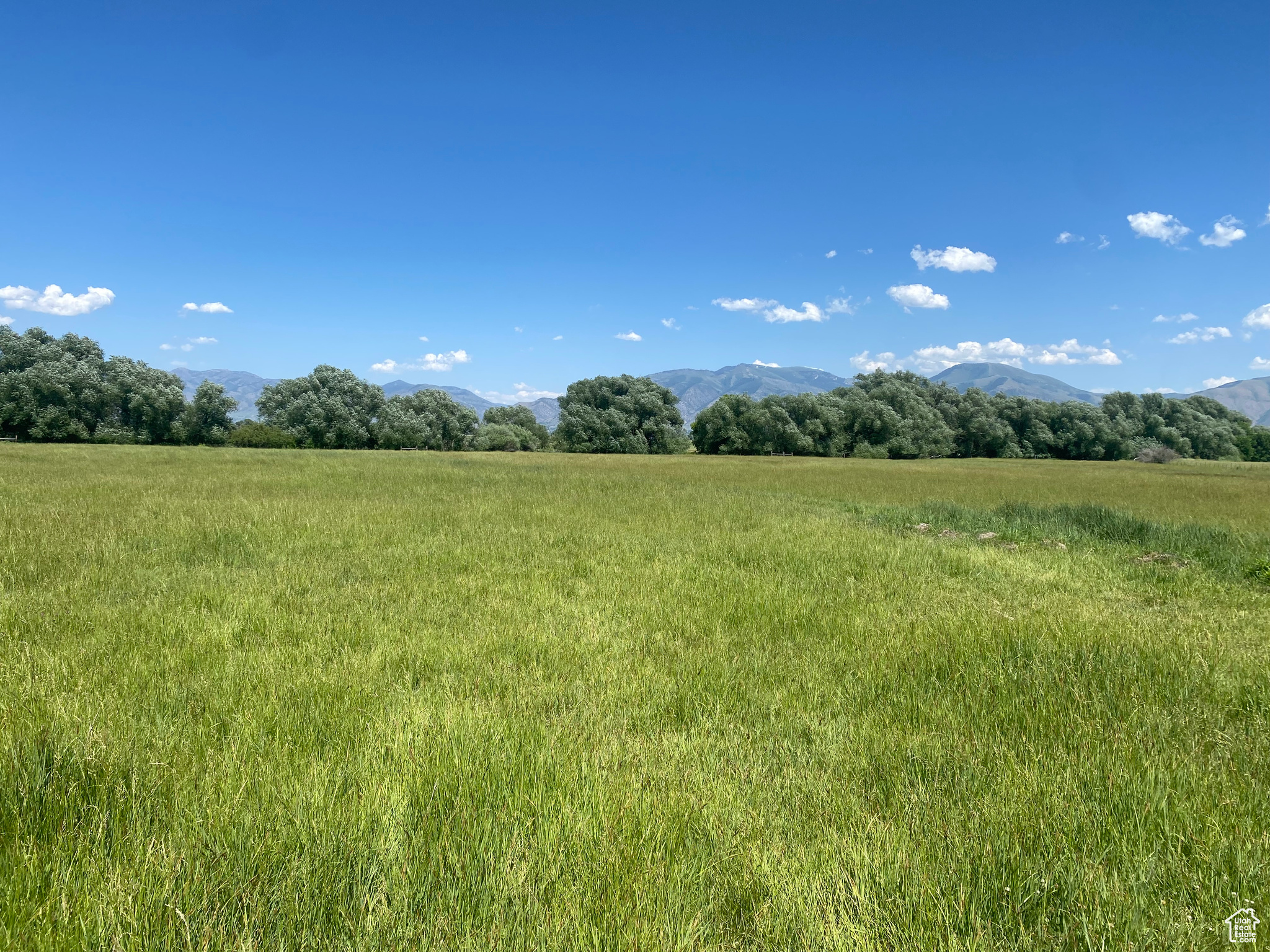 4700 W 2900 S Mendon UT 84325 | $774,900 | UtahRealEstate.com