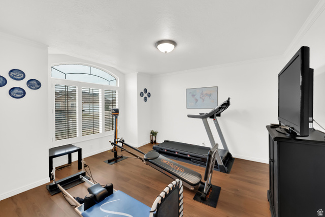 954 W RUBY WAY | Peterson Homes